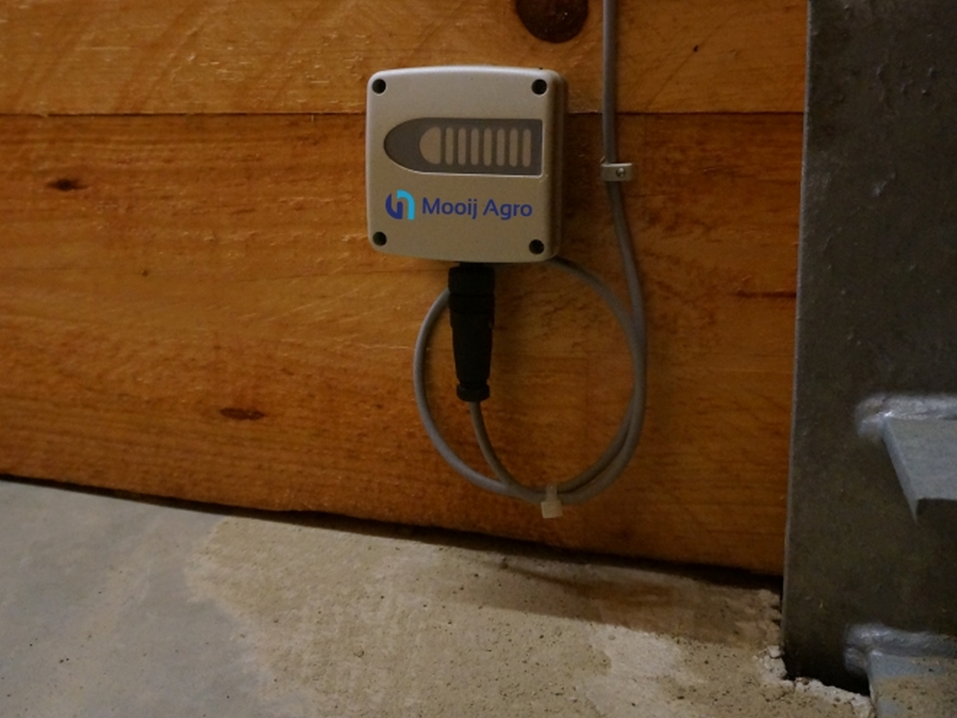 Messfühler | Dittmer Umwelttechnik GmbH